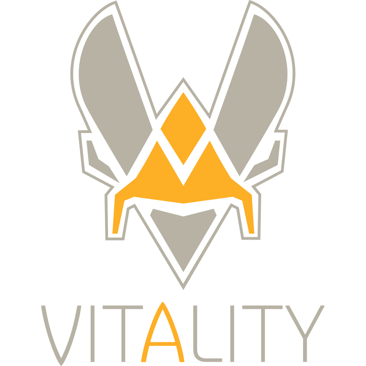 Team Vitality - Call of Duty Esports Wiki