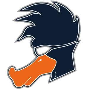 Playing Ducks - Call of Duty Esports Wiki