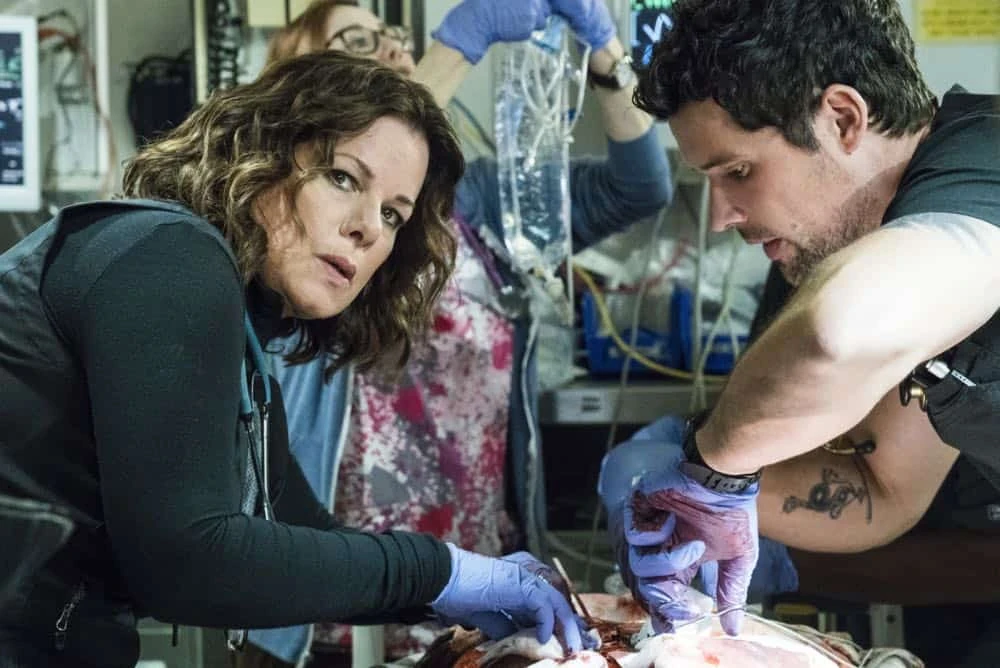 Third Year | Code Black Wikia | Fandom