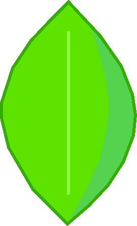 Leafy/Gallery | BFDI Cringe Studios Wiki | Fandom