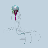 Code Lyoko Scyphozoa
