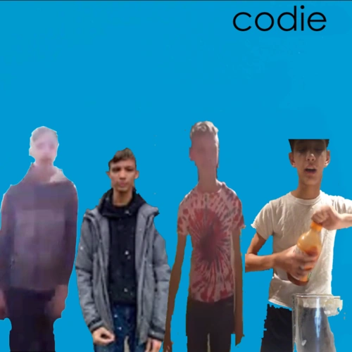 Rebirth: Unreleased Tracks Edition | Codie Wiki | Fandom