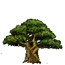 Hamadryad | Conquest of Elysium 4 Wikia | Fandom