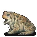 Monster Toads | Conquest of Elysium '3' Wiki | Fandom