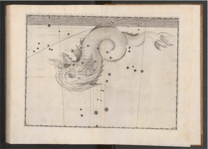 Bayer Piscis Notius | Historia Coelestis Wiki | Fandom