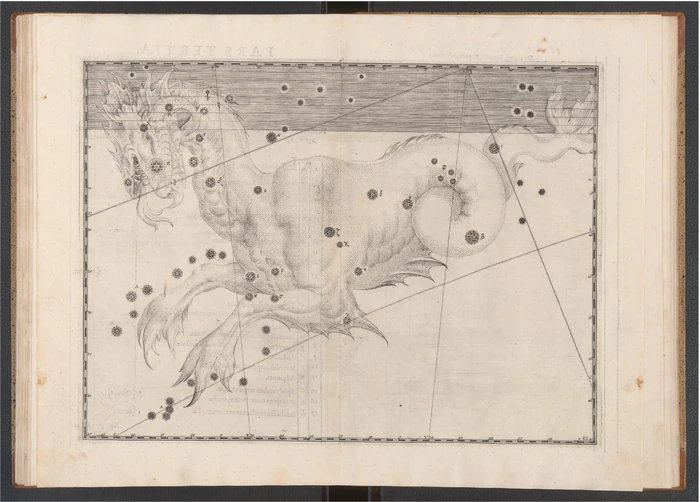 Bayer Cetus | Historia Coelestis Wiki | Fandom