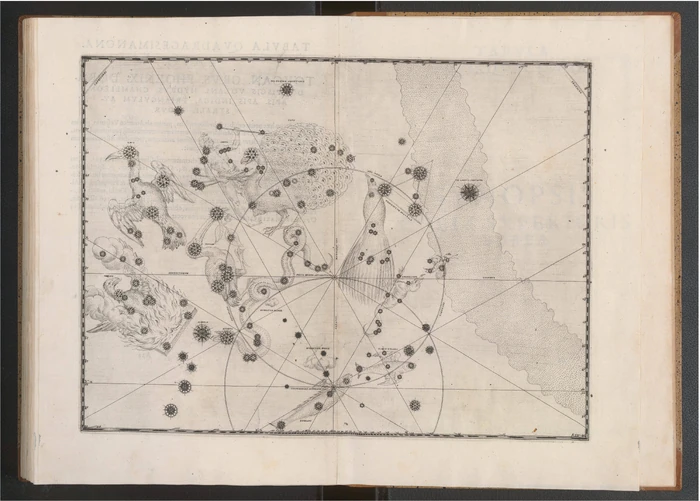 Bayer 12 southern constellations | Historia Coelestis Wiki | Fandom