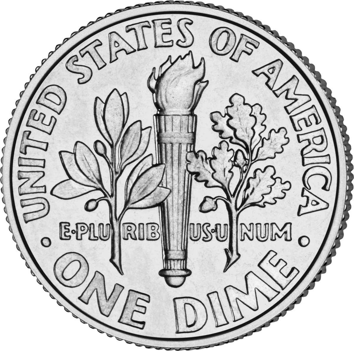 USD 10 Cent Coin Collecting Wiki Fandom USD 10 Cent Coin Collecting Wiki Fandom
