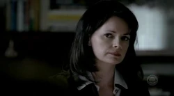 Susan Cardiff | Cold Case Wiki | Fandom