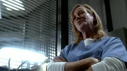 Dawn Wheeler | Cold Case Wiki | Fandom