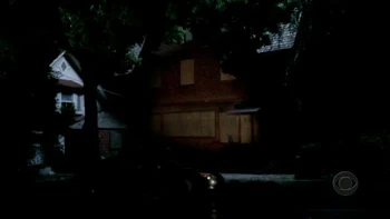 The Woods | Cold Case Wiki | Fandom