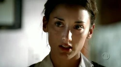 Ellen Curtis | Cold Case Wiki | Fandom