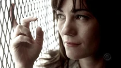 Carmen Hays | Cold Case Wiki | Fandom