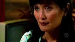 Mrs. Lee | Cold Case Wiki | Fandom