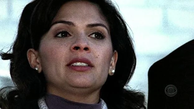 Anna Vizcaino | Cold Case Wiki | Fandom