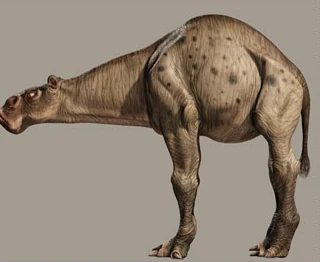 Daada | Coldd Wiki | Fandom