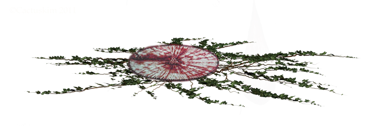 Death Step | Collaborative Worldbuilding Project Wiki | Fandom