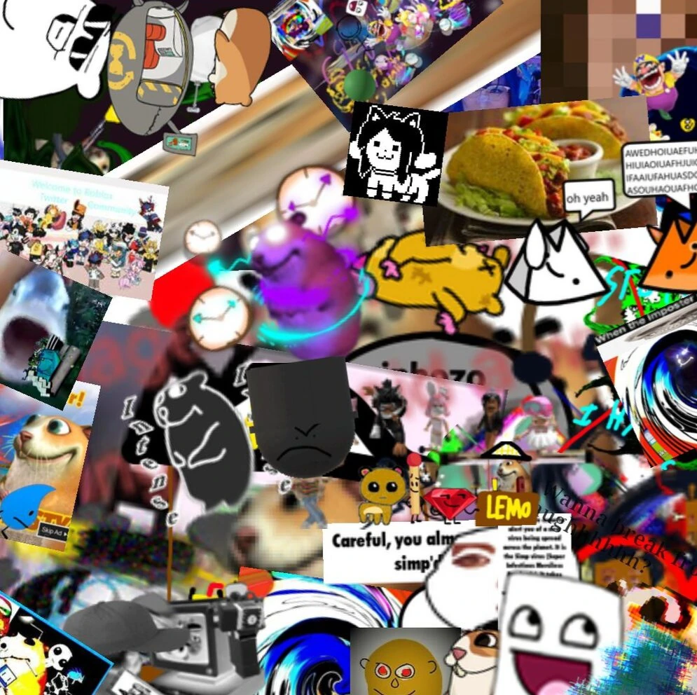 Collage Chomik | Collage Chomik Wiki | Fandom