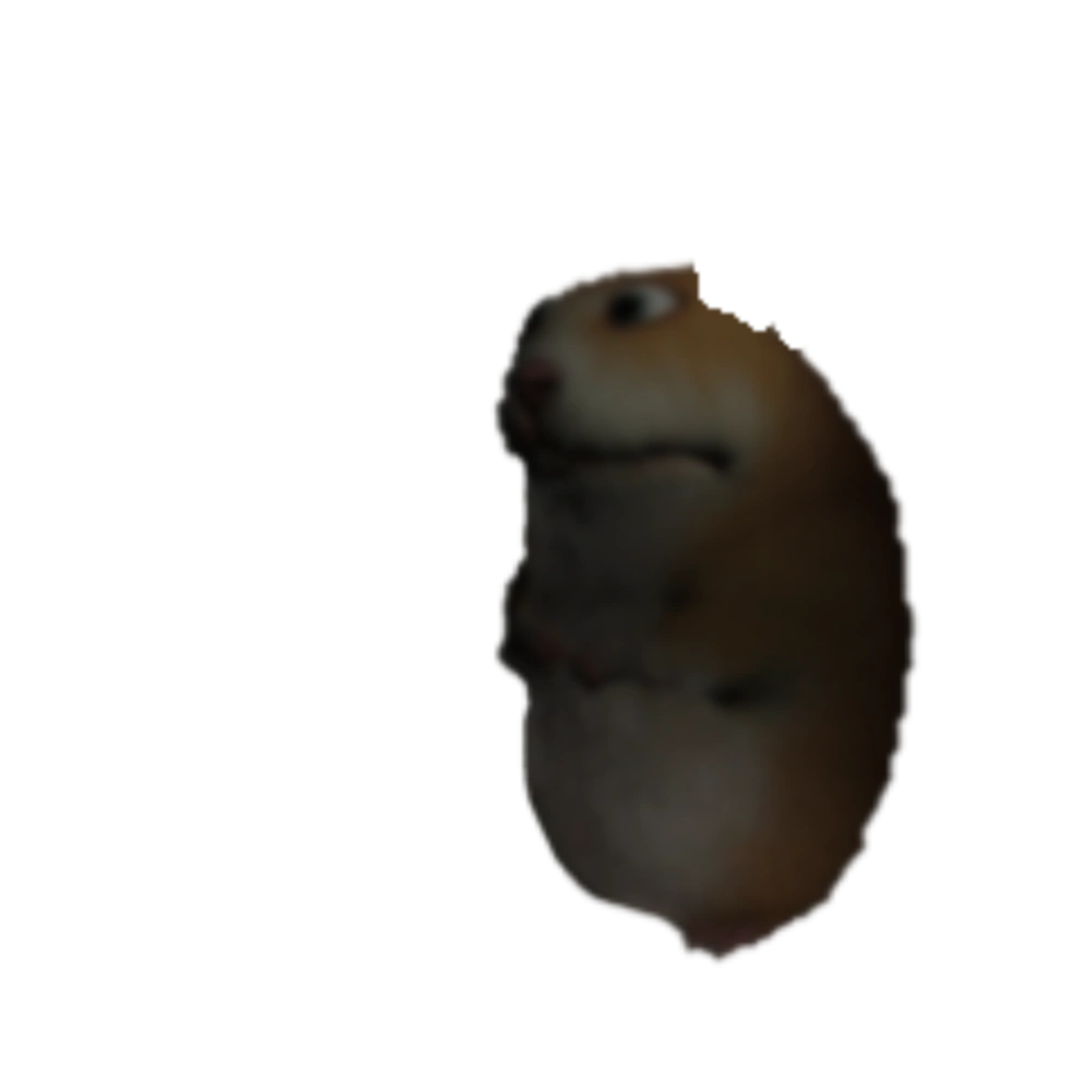 Chomik 5 | Collage Chomik Wiki | Fandom