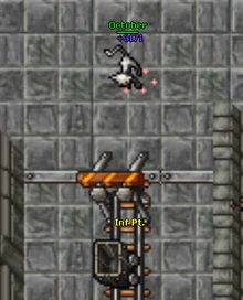 Leveling Guide- Druid/Sorcerer | Collapser Wiki | Fandom