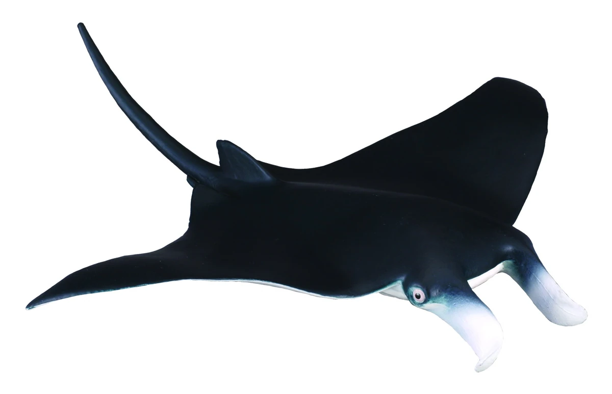 Manta Ray | CollectA Toys Wiki | Fandom