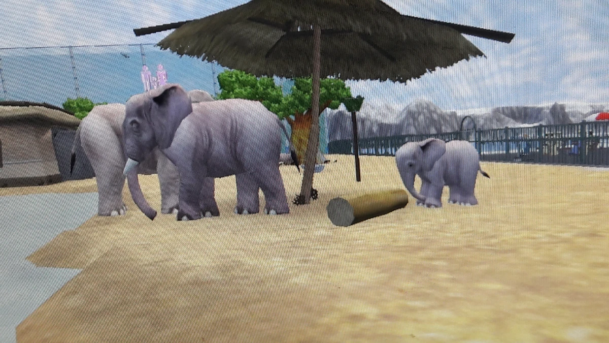 African Bush Elephant | Collection Chamber Games with Cheats and Level ...