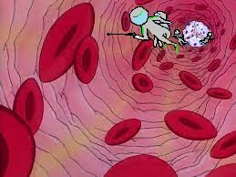 Flushtastic Voyage | College Mates Wiki | Fandom