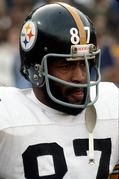 Larry Brown (tight end, born 1949) | American Football Wiki | Fandom