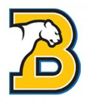 2012 Birmingham-Southern Panthers | American Football Wiki | Fandom