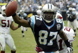 Muhsin Muhammad | American Football Wiki | Fandom