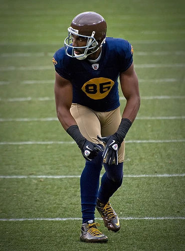 Greg Jennings | American Football Wiki | Fandom