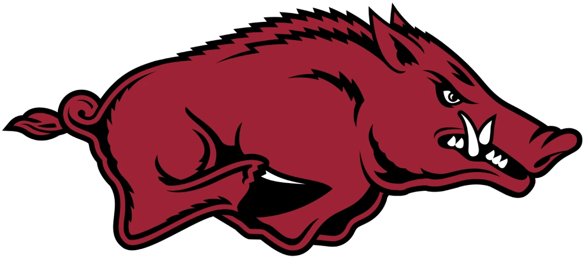 1994 Arkansas Razorbacks | American Football Wiki | Fandom