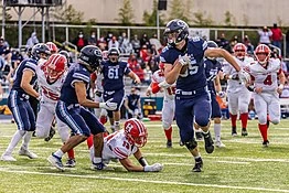 Bellarmine Bells | American Football Wiki | Fandom