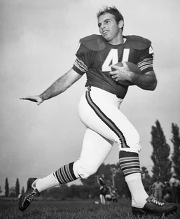 Brian Piccolo | American Football Wiki | Fandom