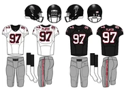 Atlanta Falcons logo / image history gallery | American Football Wiki ...