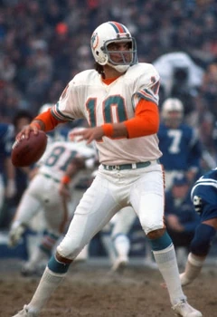 Don Strock | American Football Wiki | Fandom