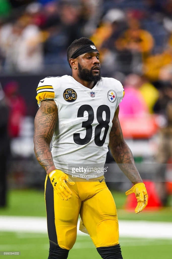 Stevan Ridley | American Football Wiki | Fandom