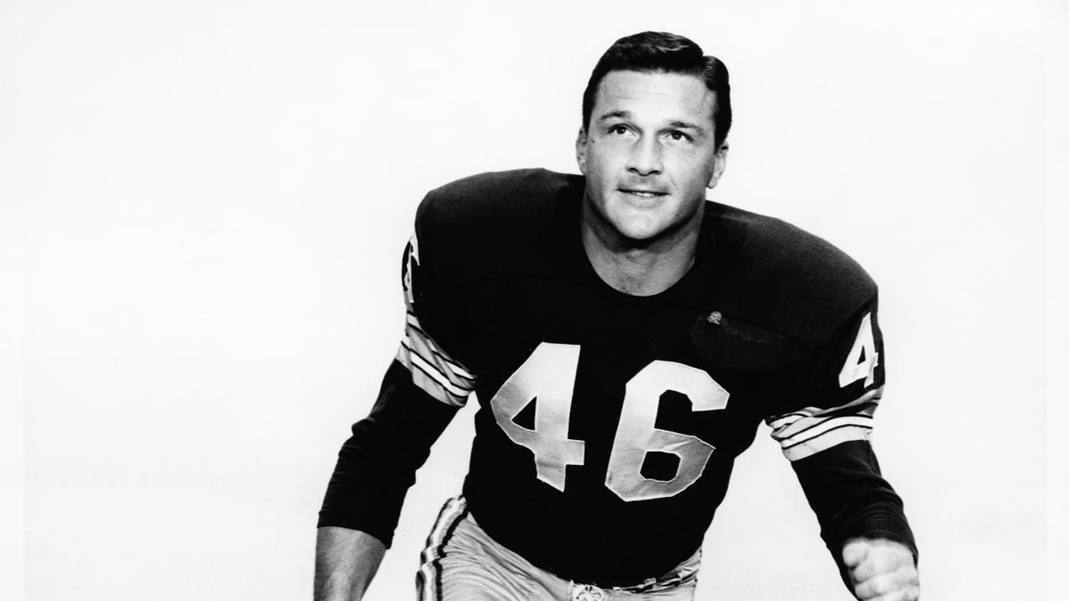 Hank Gremminger | American Football Wiki | Fandom