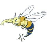 2012 Emory & Henry Wasps | American Football Wiki | Fandom