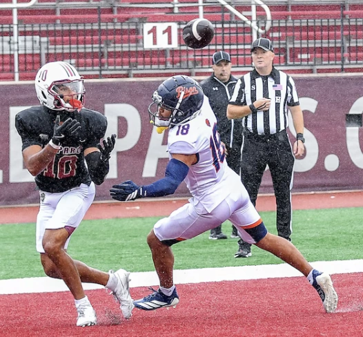 Matthew Scerbo | American Football Wiki | Fandom