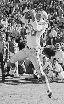 Yale Lary | American Football Wiki | Fandom