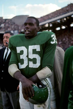 Ted Dean | American Football Wiki | Fandom