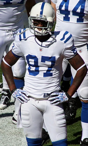 Reggie Wayne | American Football Wiki | Fandom