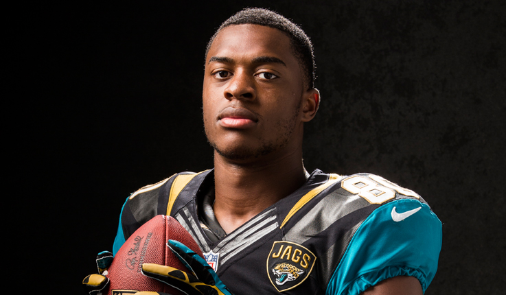Allen Robinson | American Football Wiki | Fandom