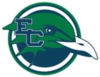 2022 Endicott Gulls | American Football Wiki | Fandom