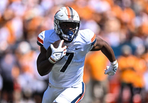 Mike Hollins | American Football Wiki | Fandom