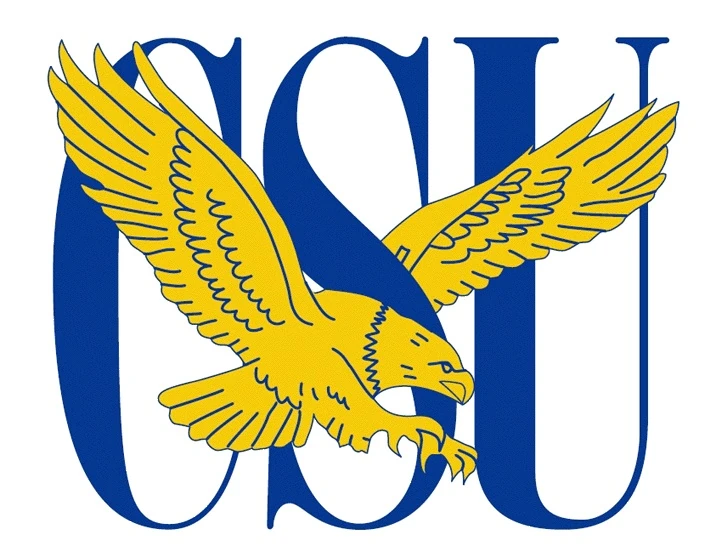 Coppin State Eagles | College Football Wiki | Fandom
