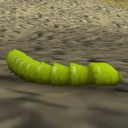 Worm | Colobot Wiki | Fandom