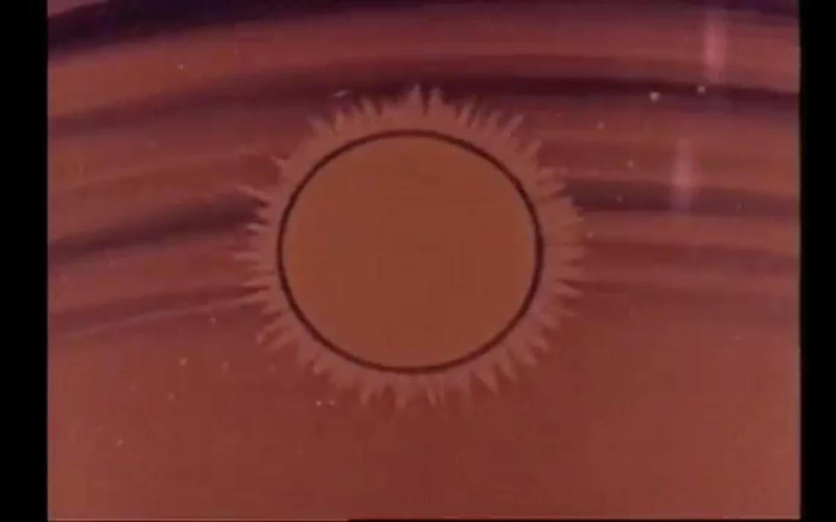 Sun | Colonel Bleep Wiki | Fandom