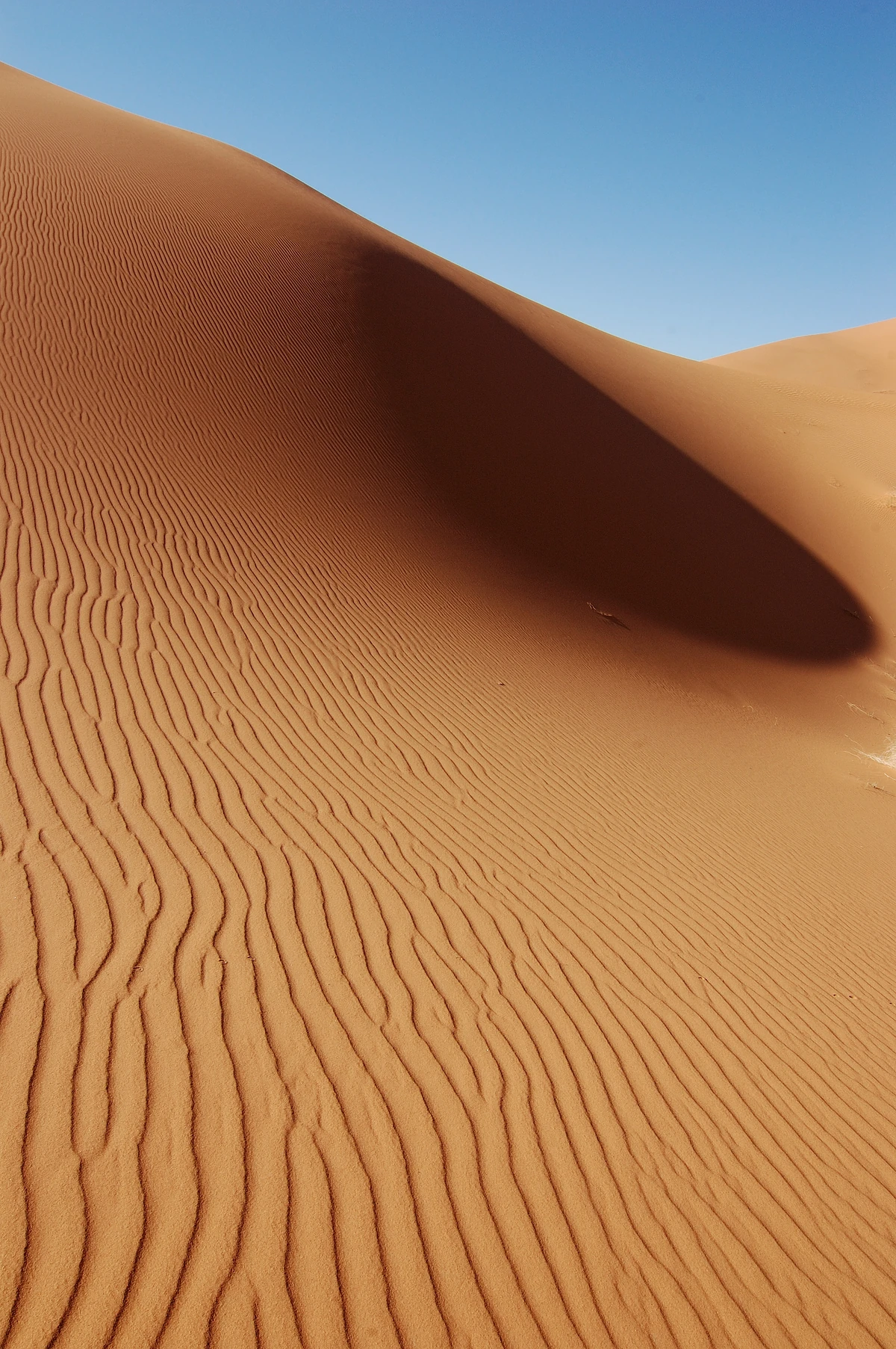 Dune | Color Sorting | Fandom